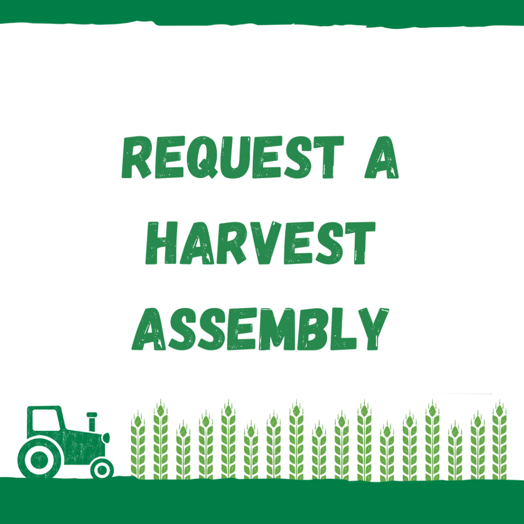 Harvest 2025 School Pack | Chesterfield Foodbank